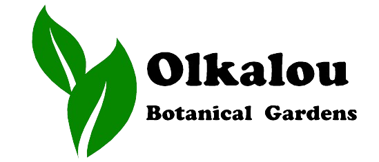 Amazing Facts - Ol'kalou Botanical Gardens